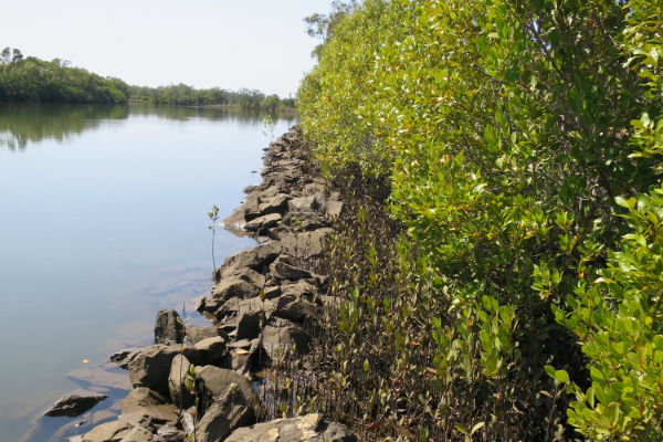 Vegetated living shorelines