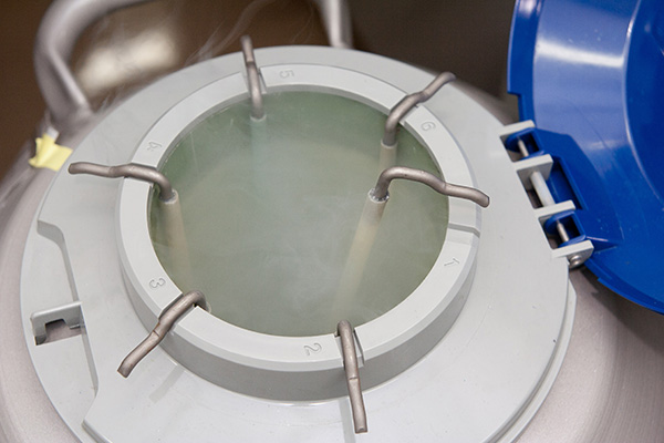 Biological solutions for healthy societies