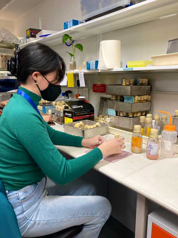 Sian Macdonald: Humans of BioSciences